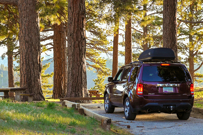 Mountain High - Introducing the Big Pines Parking Pass