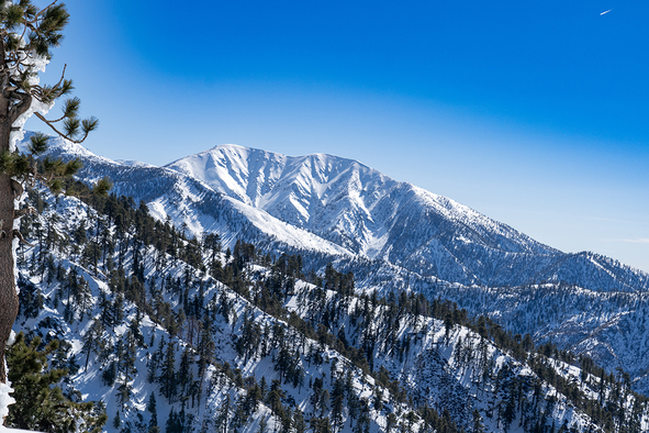 Mountain High - Daily Photos 2-8