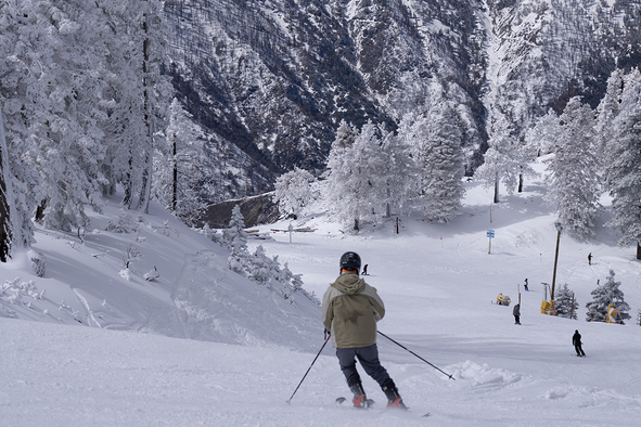 Mountain High - Daily Photos 3-11