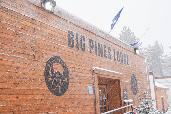 Mountain High - Daily Photos 3-29